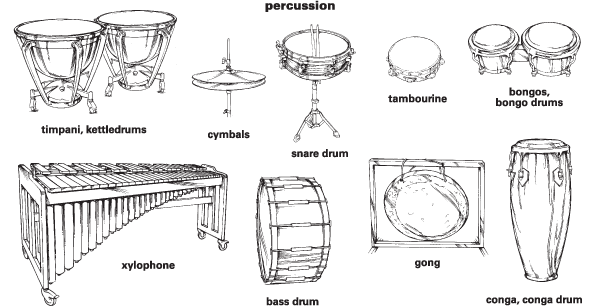 Percussion - Definition for English-Language Learners from Merriam ...