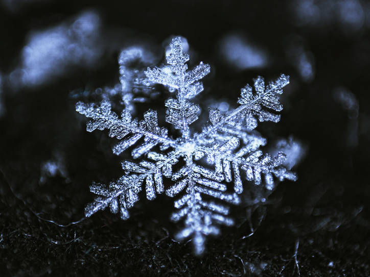 A New Meaning Of The Word Snowflake Merriam Webster A New Meaning Of The Word Snowflake Merriam Webster