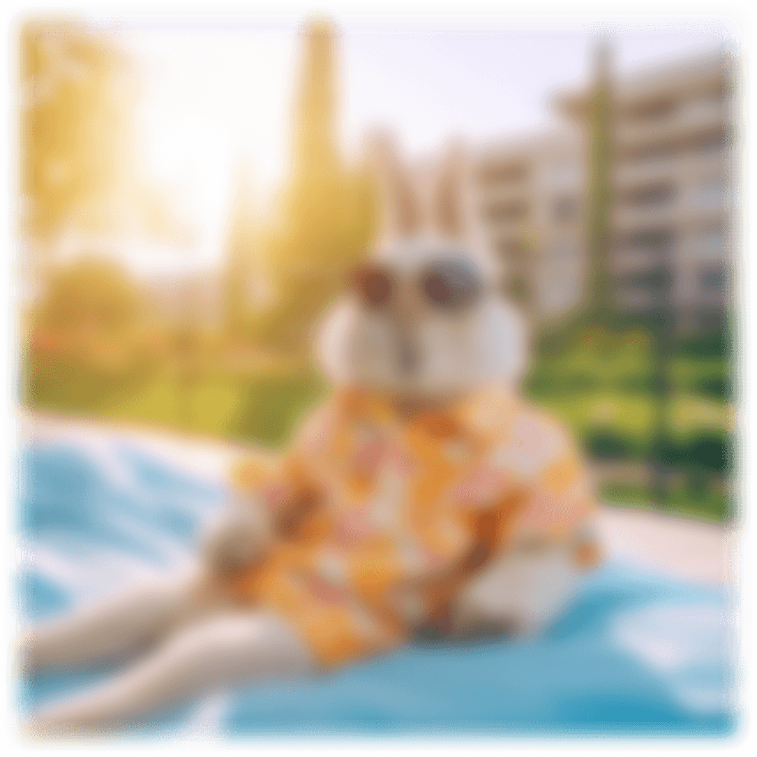 Twofer Goofer, a daily rhyming word game | Merriam-Webster